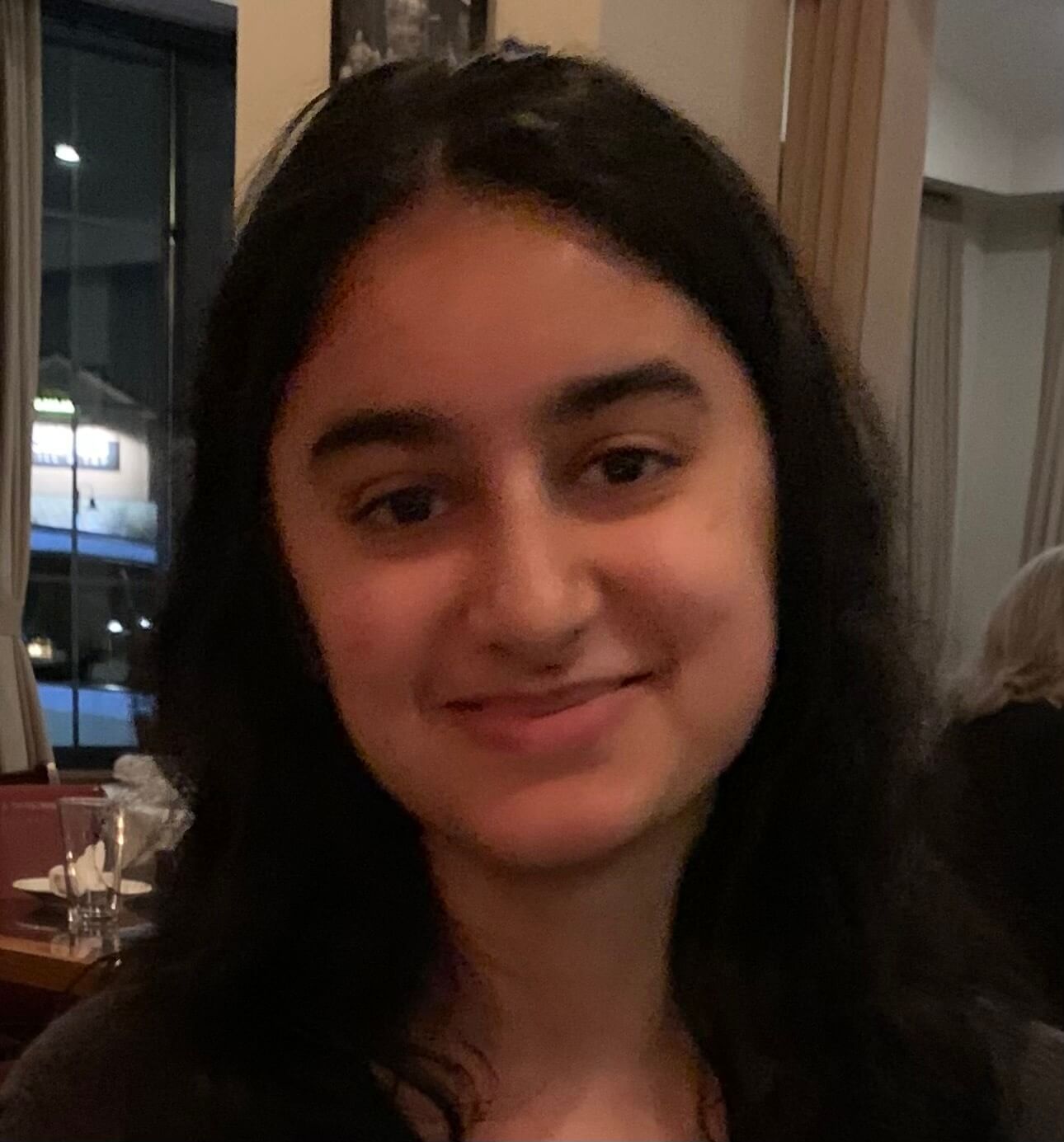 Faculty: Wolfram Summer Research Program